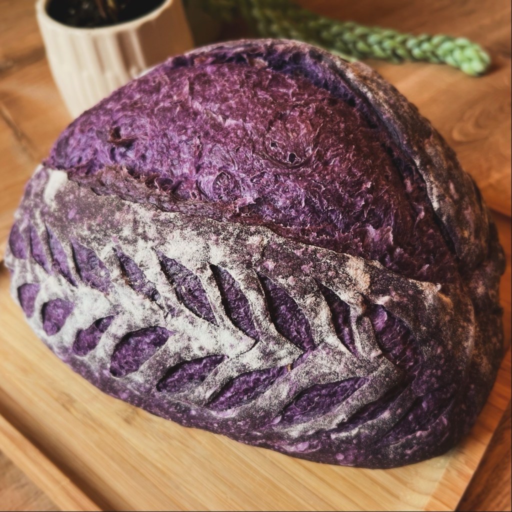 Sour & Salt – Artisan Sourdough Bakery