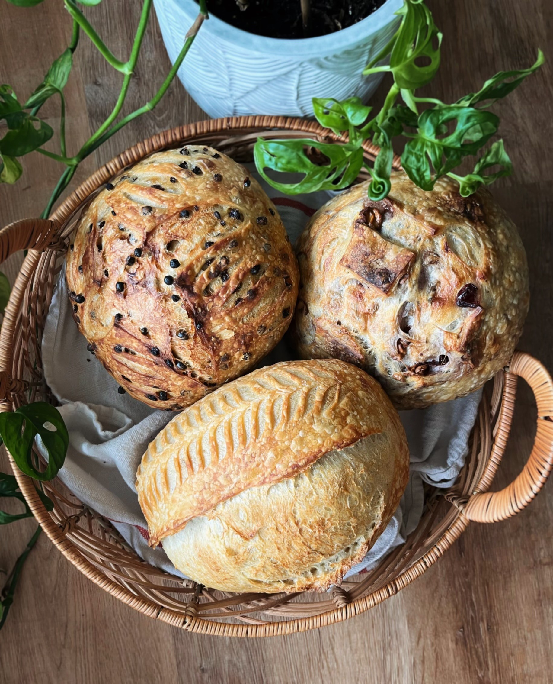 Sour & Salt – Artisan Sourdough Bakery